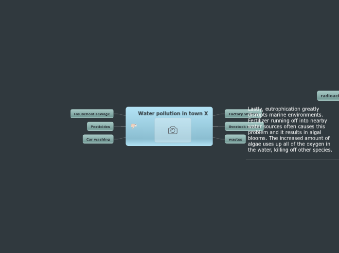 Water pollution in town X - Mind Map