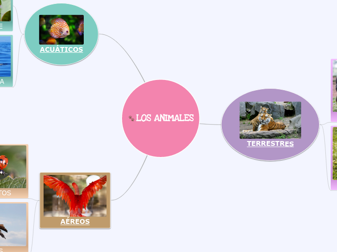 LOS ANIMALES - Mind Map
