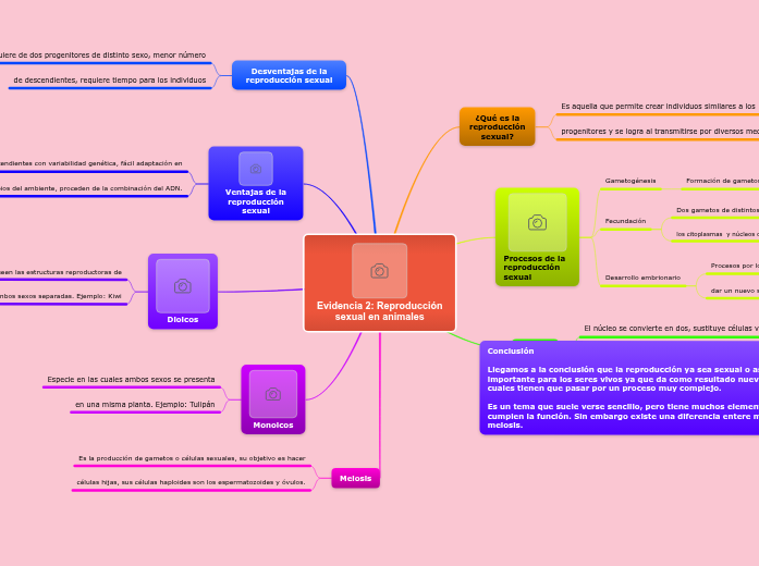 Evidencia 2: Reproducción sexual en animal...- Mind Map