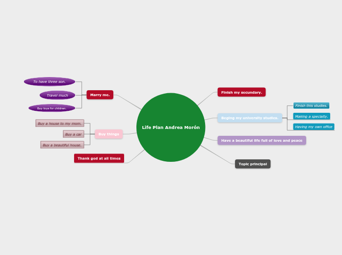 Life Plan - Mind Map
