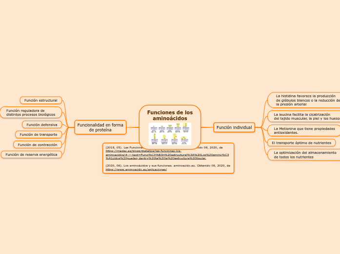 Funciones de los aminoácidos - Mind Map