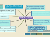 Sample Mind Map - Mind Map