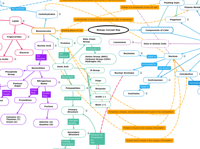 Biology Concept Map - Mind Map