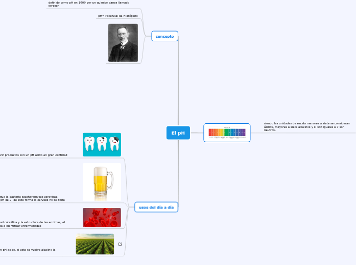El pH - Mind Map