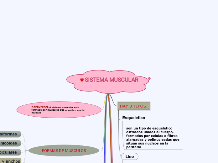 SISTEMA MUSCULAR - Mind Map