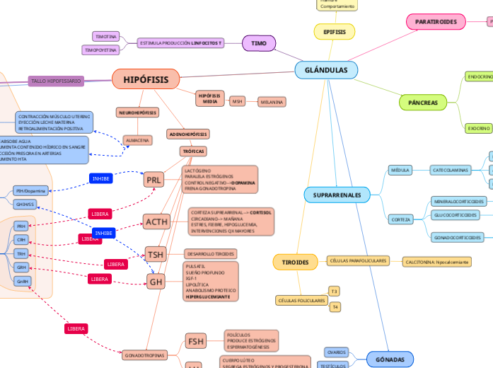 PRUEBAS DIAGNÓSTICAS - Mind Map