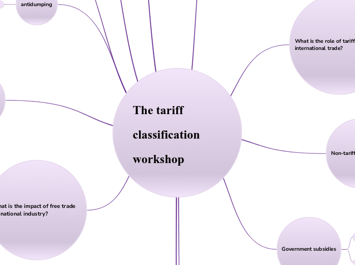 The tariff classification workshop - Mind Map