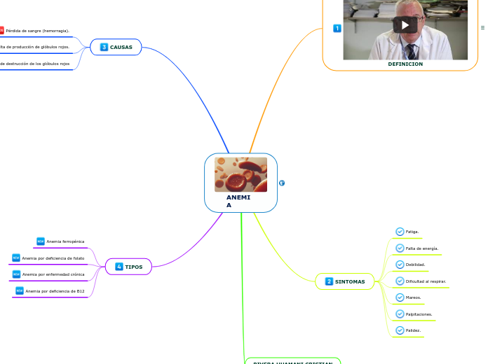 ANEMIA - Mind Map