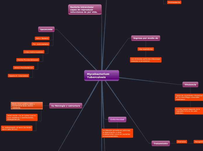 Mycobacterium Tuberculosis - Mind Map