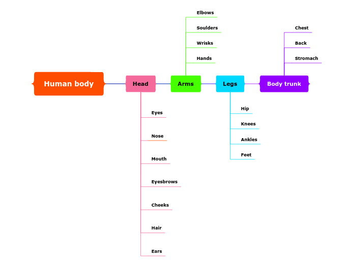 Human body - Mind Map