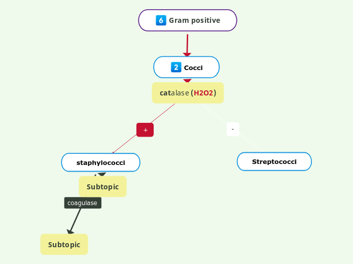 Gram positive - Mind Map