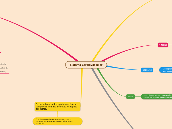 Sistema Cardiovascular - Mind Map
