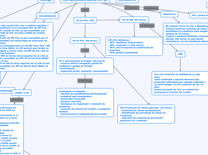 PAC1 Fonaments Didàctics i Curriculars - Concept Map