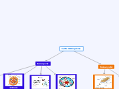 Cell Kingdoms - Concept Map