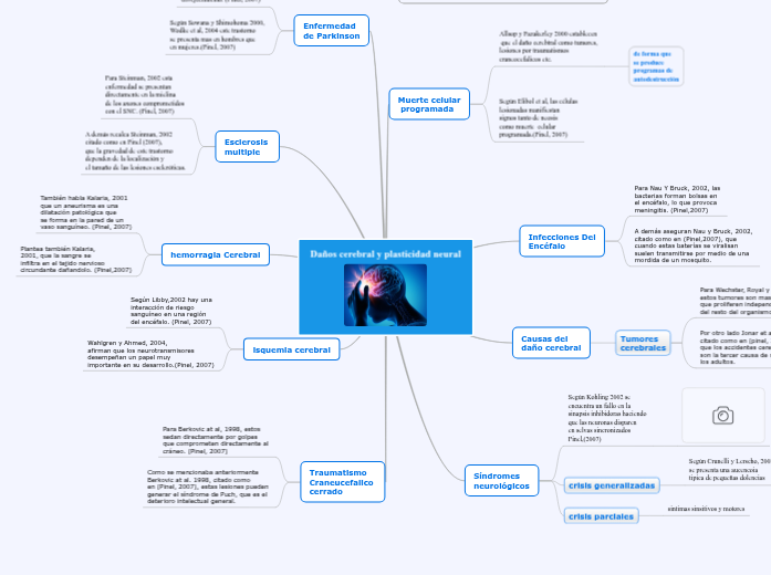 Daños cerebral y plasticidad neural - Mind Map