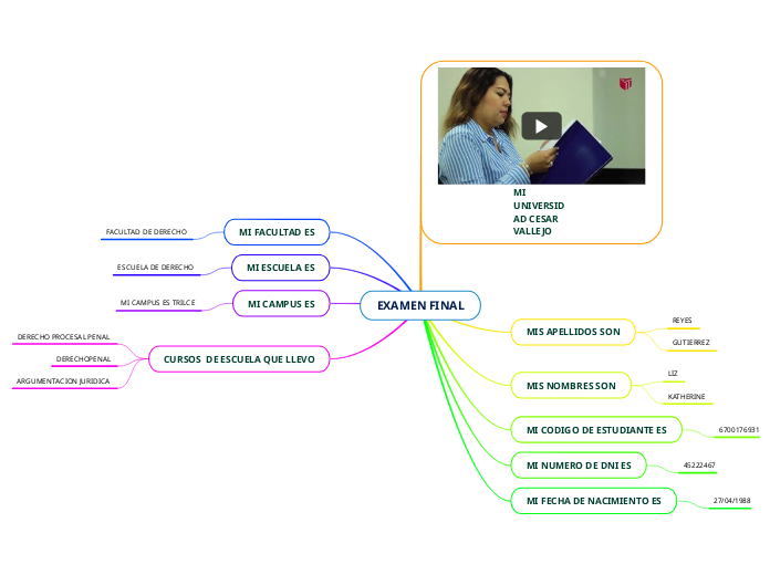 EXAMEN FINAL - Mind Map