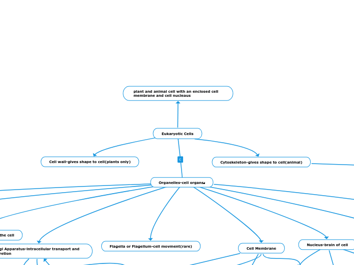 Eukaryotic Cells - Mind Map