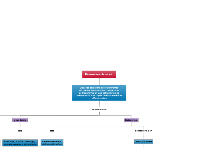 Desarrollo embrionario - Mind Map