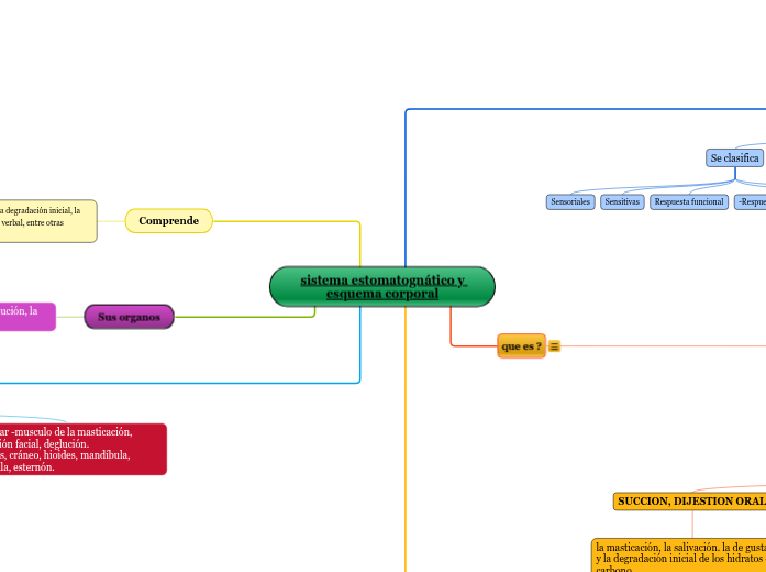 sistema estomatognático y esquema corporal - Mind Map