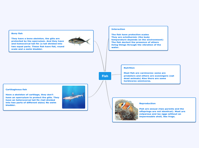 Fish - Mind Map