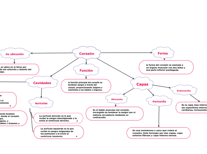 Corazón - Mind Map