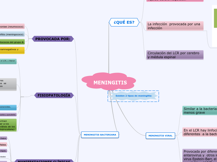 MENINGITIS - Mind Map