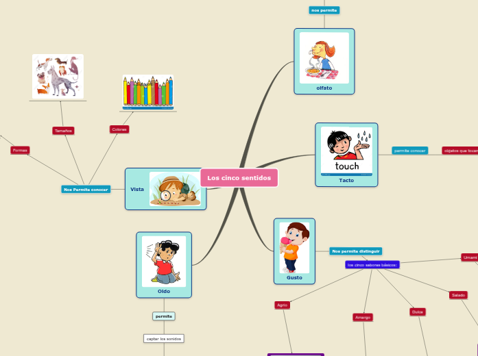 Los cinco sentidos - Mind Map