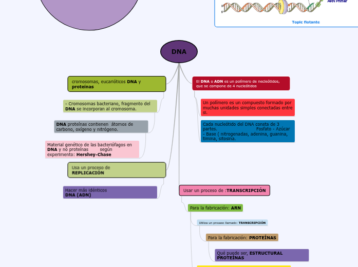 DNA - Mind Map