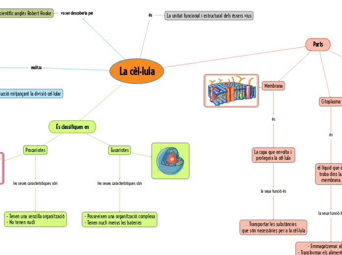 La cèl·lula - Mind Map