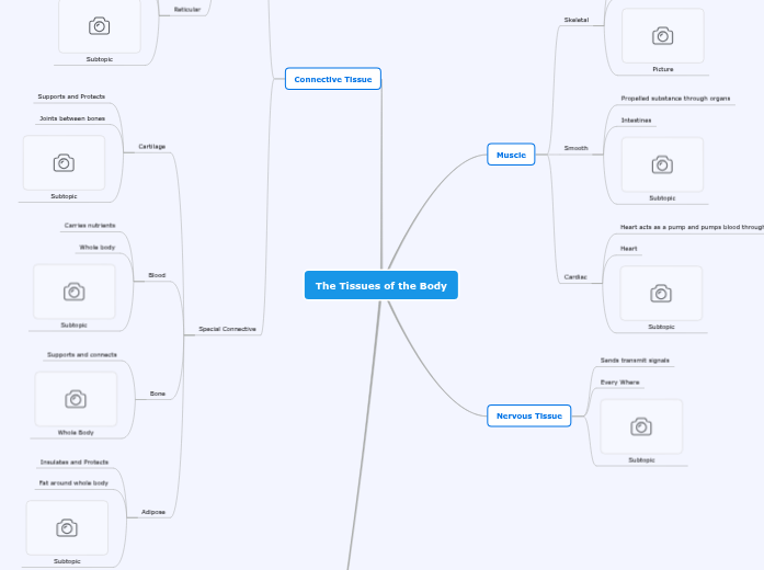 The Tissues of the Body - Mind Map