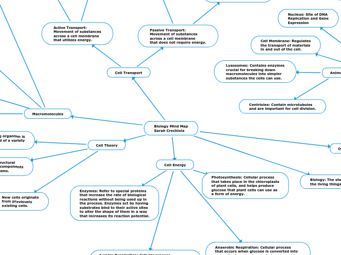 Active Transport Concept Map