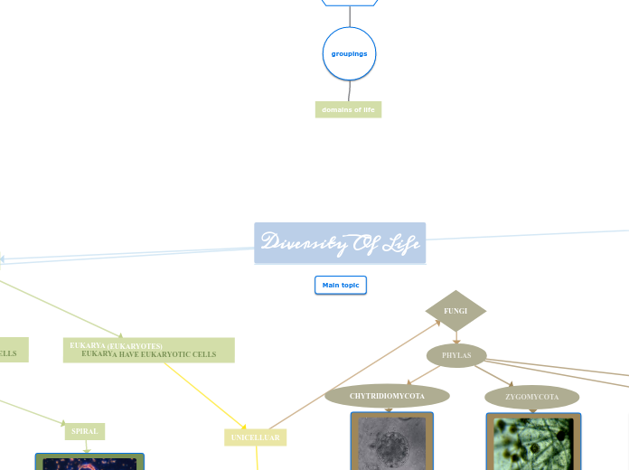 Diversity Of Life - Mind Map