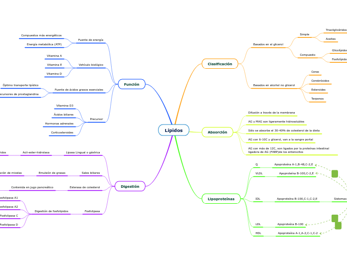 Lípidos - Mind Map