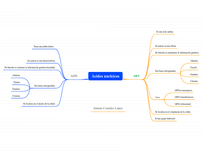 Ácidos nucleicos - Mind Map