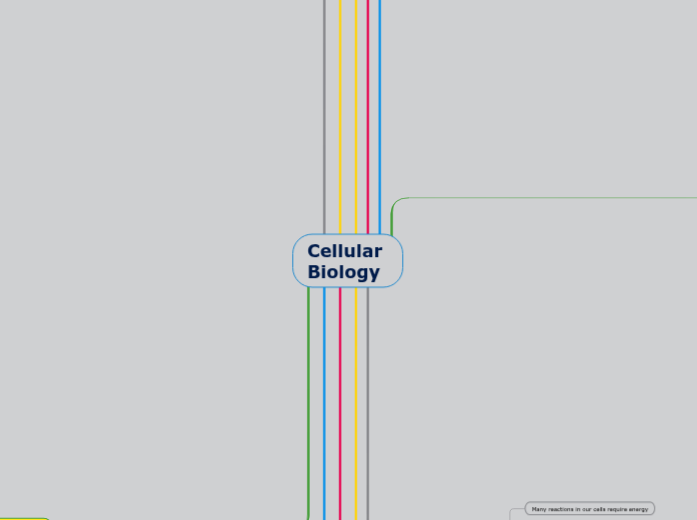 Cellular Biology - Mind Map