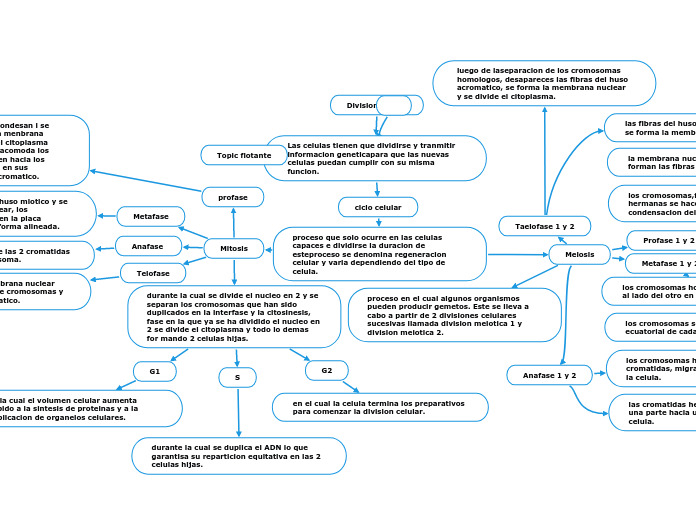 Division celular - Mind Map