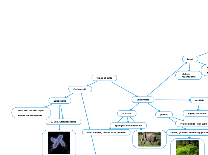 Cell Types | Mindomo Mind Map