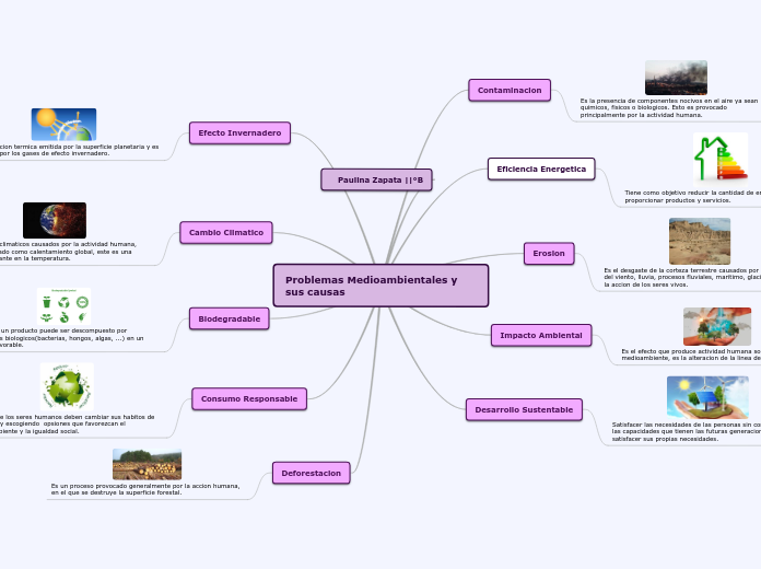 problemas medioambientales y sus causas - Mind Map