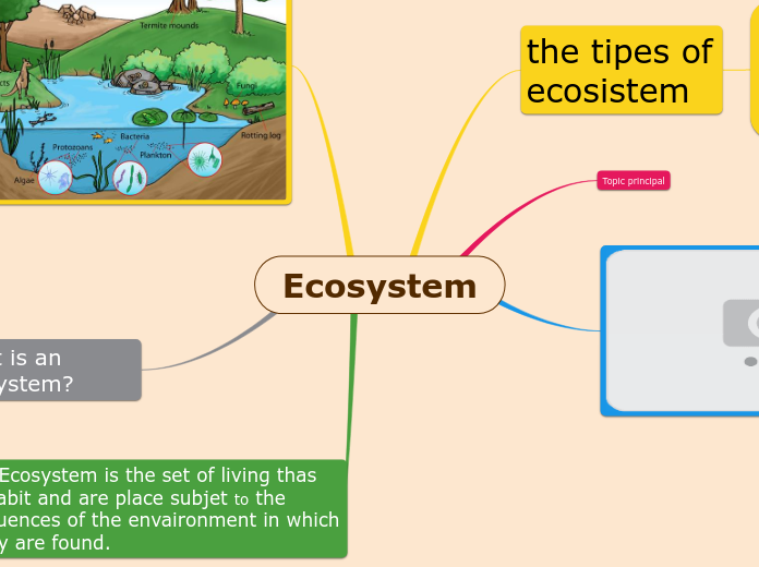 Ecosystem - Mind Map