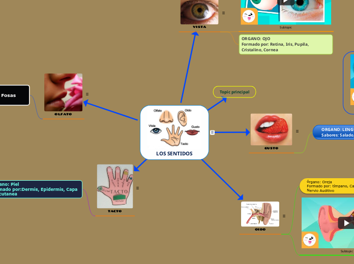 LOS SENTIDOS - Mind Map