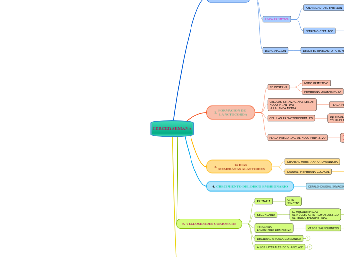 TERCER SEMANA - Mind Map