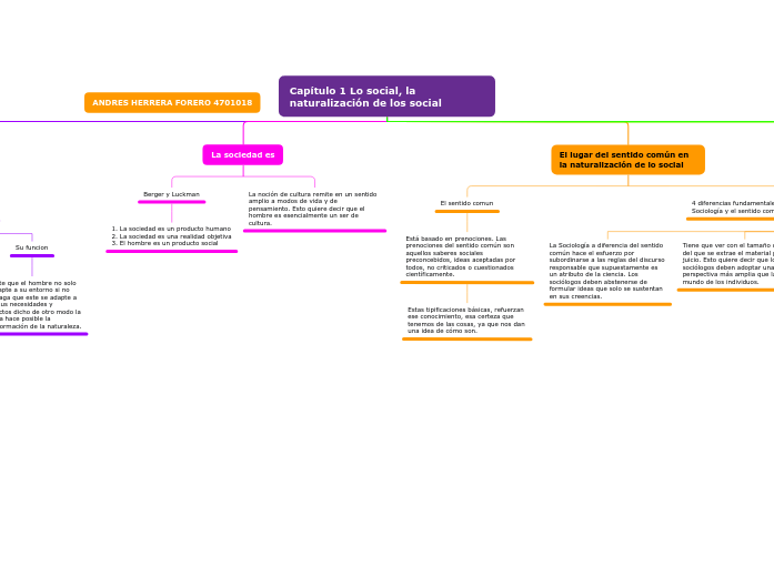 MAPA CONCEPTUAL - ACTIVIDAD 2 - Mind Map