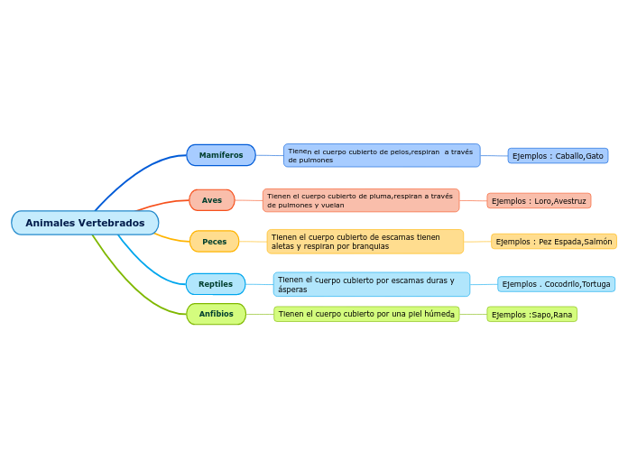 Animales Vertebrados - Mind Map
