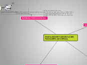 HABILIDADES DEL ESTUDIANTE VIRTUAL - Mind Map