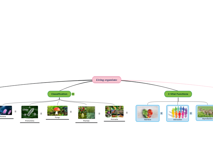 Living organisms - Mind Map