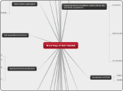 Mind Map of Soil Habitat - Mind Map