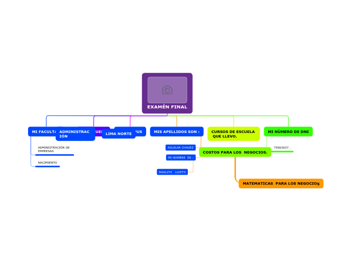 EXAMÉN FINAL - Mind Map