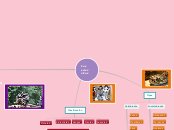 Los seres vivos - Mind Map