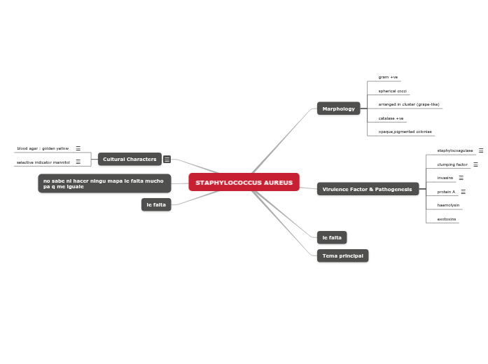 STAPHYLOCOCCUS - Mind Map