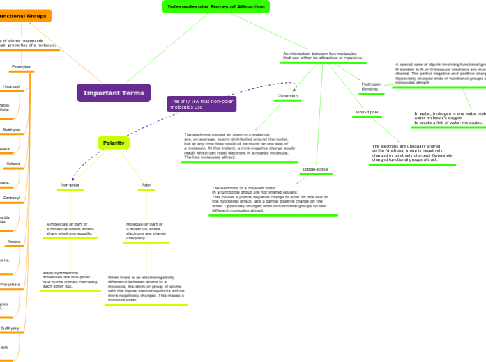 Important Terms - Mind Map